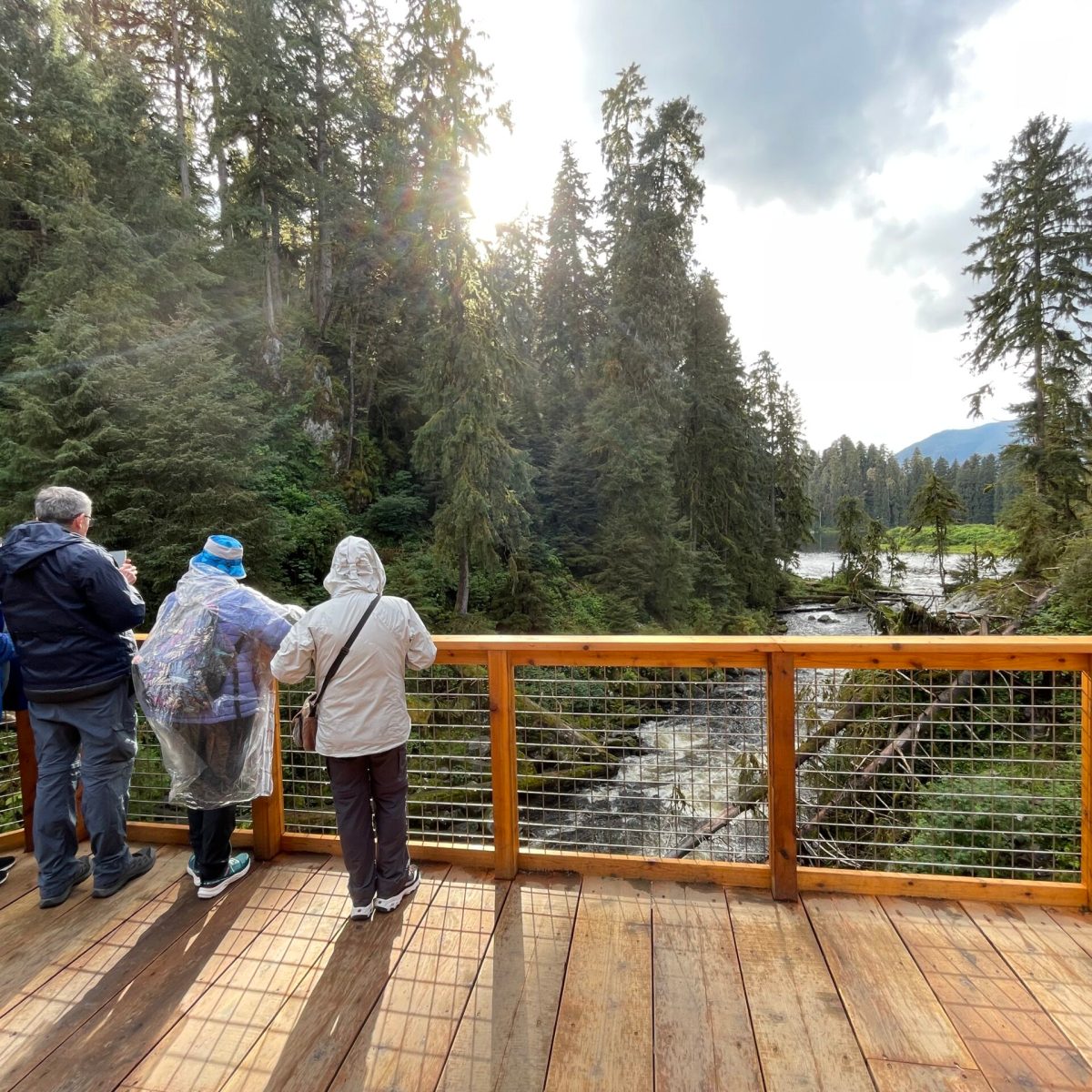 Anan Bear and Wildlife Observatory | Alaska Waters